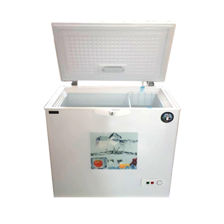 ตู้แช่แข็งฝาทึบ ความจุ 7.4Q The Frezzer รุ่น PM-FFCM-210 - บริษัท ยังเบี๊ยะ จำกัด