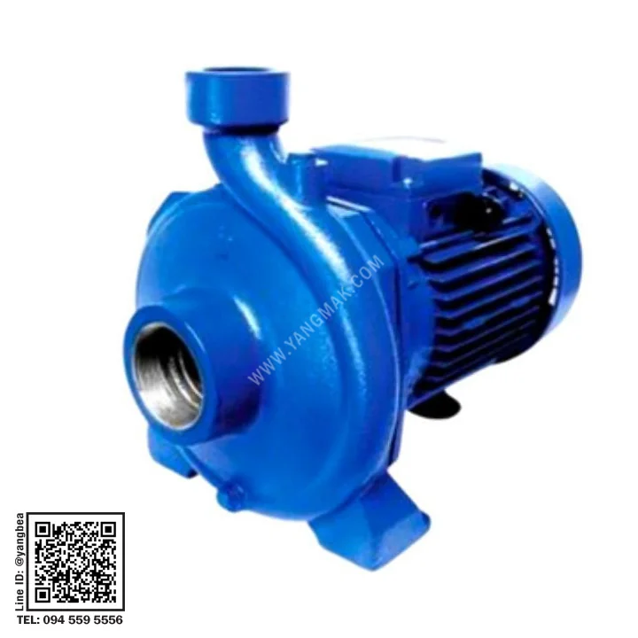 ปั๊มน้ำหอยโข่งไฟฟ้า Stac ขนาด 1.5 kW 380V รุ่น CPE/200 T - บริษัท ยังเบี๊ยะ จำกัด