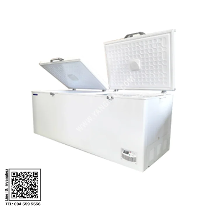 ตู้แช่แข็ง-แช่เย็น ความจุ 31.4Q The Frezzer รุ่น FS-FFCM-890 - บริษัท ยังเบี๊ยะ จำกัด